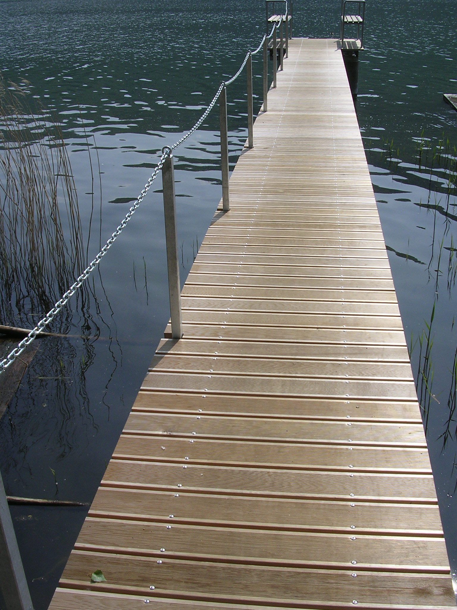 pontile | Medicus Info